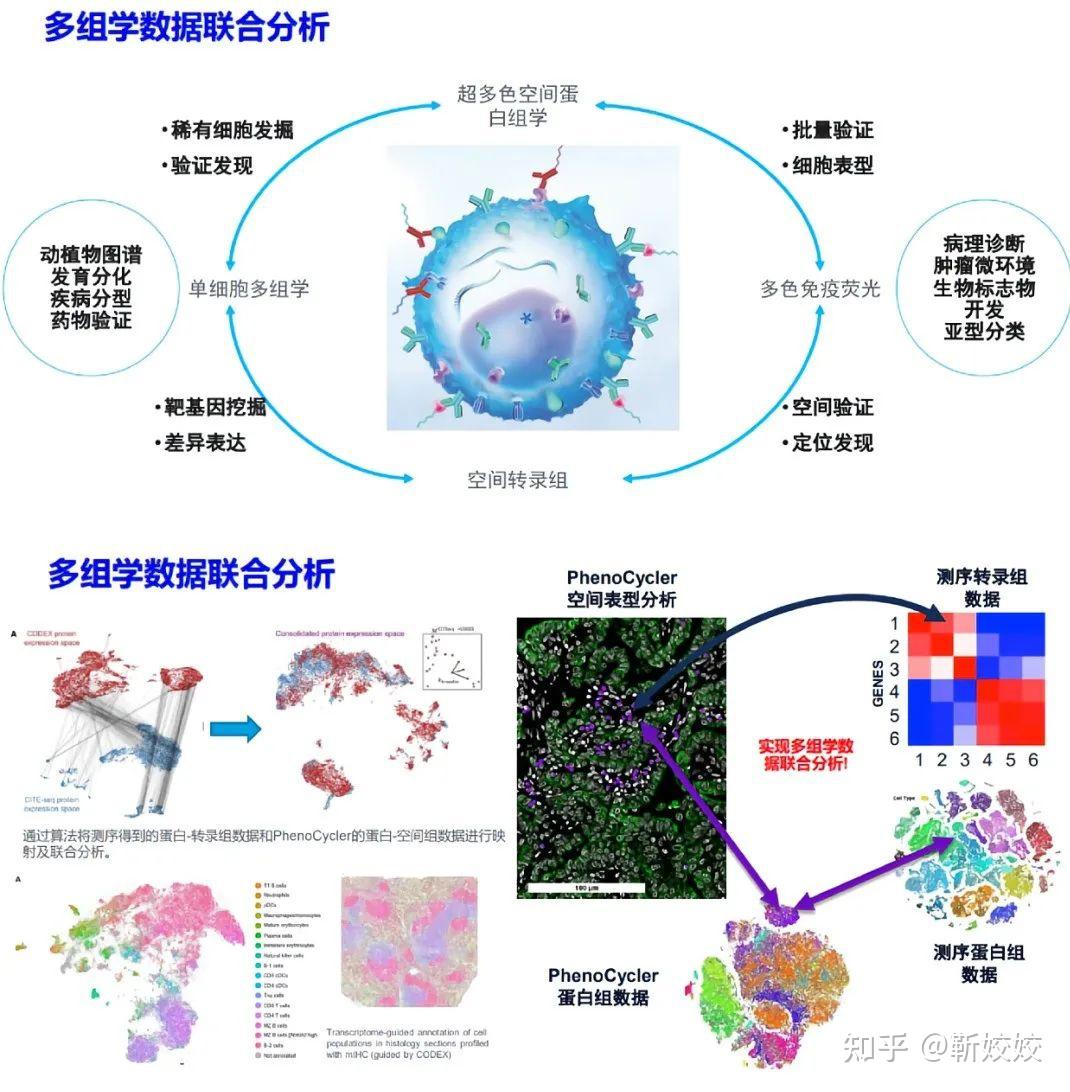 单细胞+空间 | 3种技术助力解锁FFPE样本中的新世界！ - 知乎