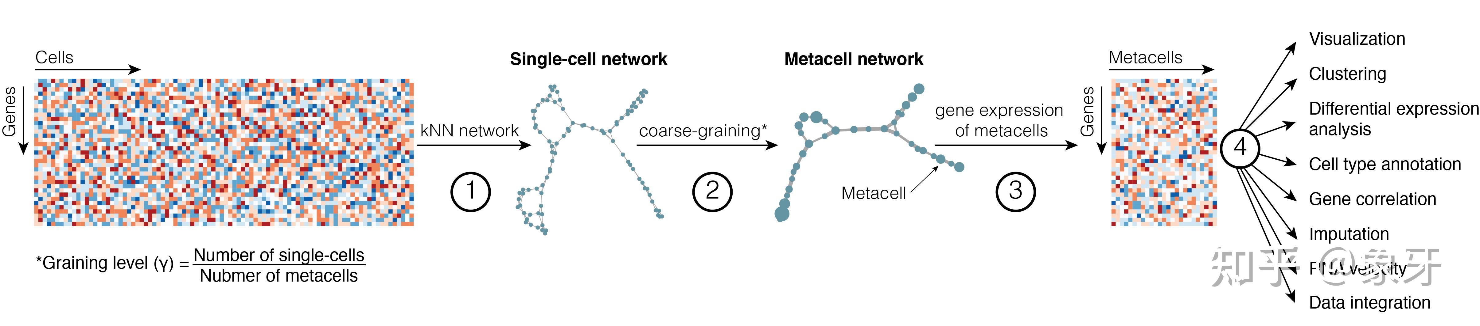 scRNAseq新包速递-SuperCell - 知乎