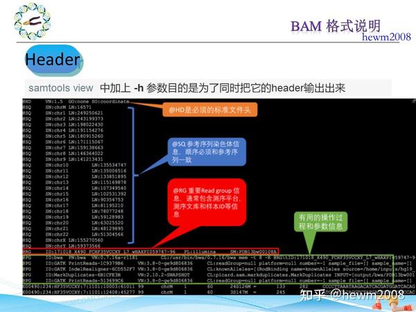 BamDeal 一个用于 bam 操作的综合工具包 - 知乎