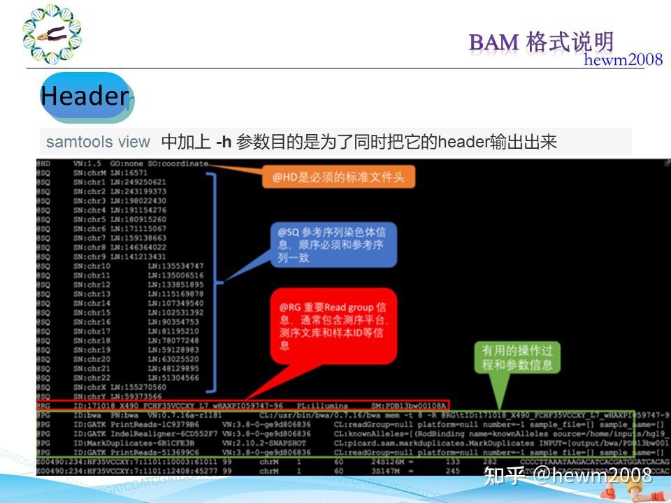 BamDeal 一个用于 bam 操作的综合工具包 - 知乎