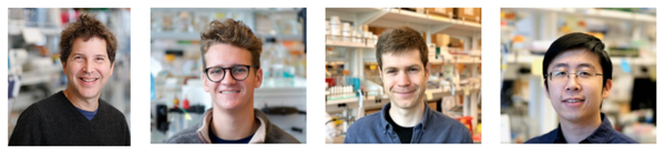 David Baker 团队提出「自上而下」强化学习方法，精确且定制化，可生成结构最佳的复杂蛋白质 - 知乎