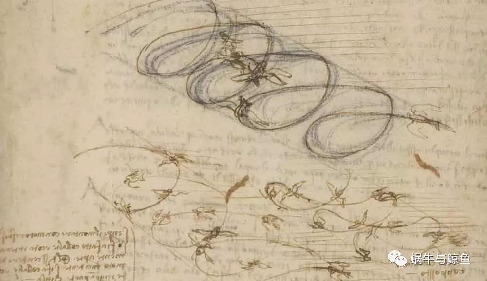 达芬奇的1.3万页手稿和好奇心的故事 - 知乎