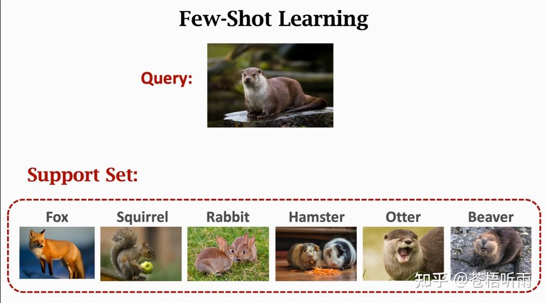 快速了解 Few Shot Learning 小样本学习 知乎