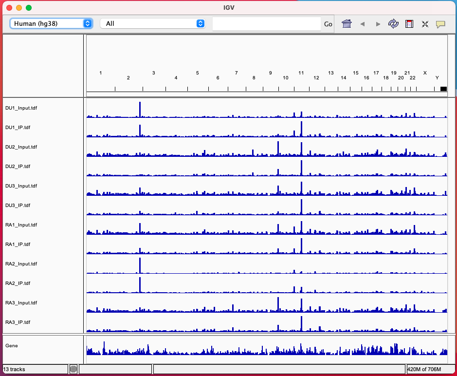 深入解析IGV基因组浏览器：igvtools快速 - 知乎