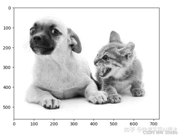 【ECCV 2022】Wave-ViT：统一小波和ViT的视觉表示学习 - 知乎