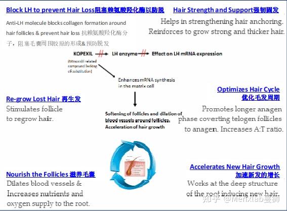 亚美尼斯（Kopexil）介绍 - 知乎