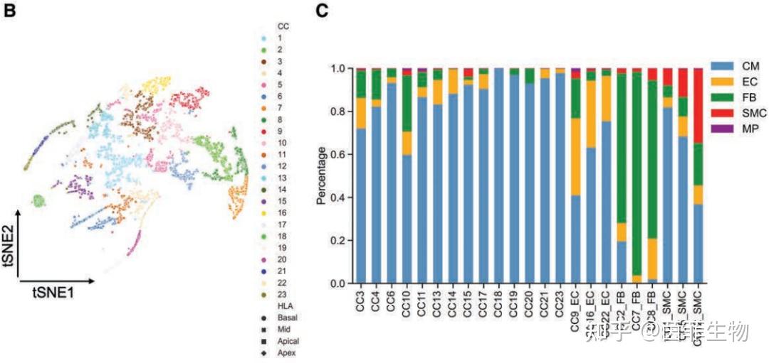 Circ Res | IMC绘制小鼠心肌缺血再灌注损伤的单细胞蛋白修饰时空图谱 - 知乎