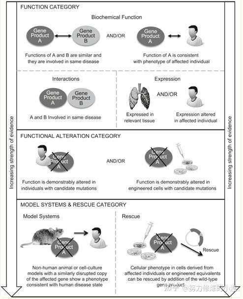 基因与疾病临床有效性（一） - 知乎