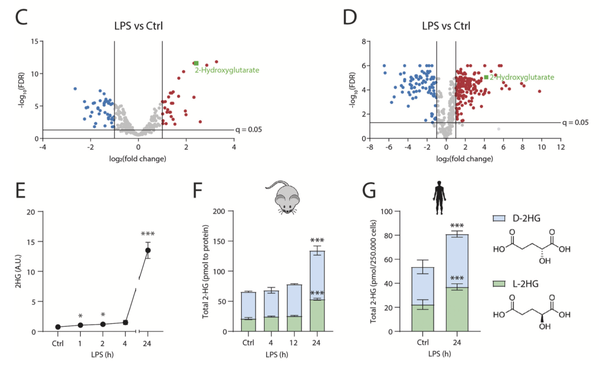 d-2-Hydroxyglutarate 是一种抗炎免疫代谢物，在 TLR4 激活后的巨噬细胞中积累 - 知乎