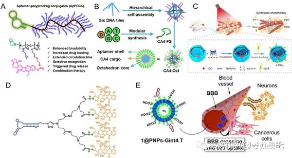 核酸适体偶联药物（ApDC）在肿瘤治疗中的最新进展 - 知乎
