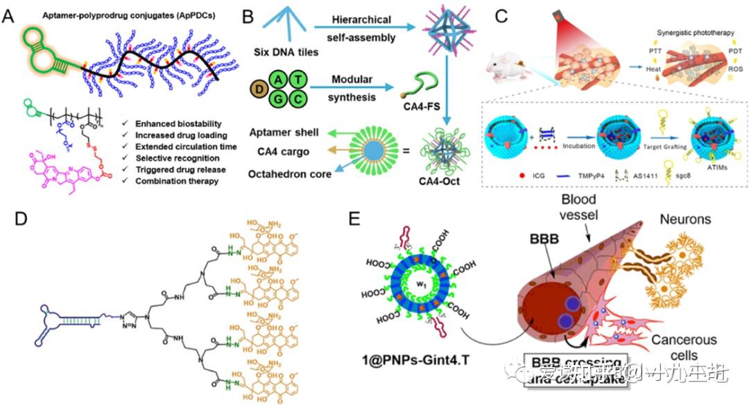 核酸适体偶联药物（ApDC）在肿瘤治疗中的最新进展 - 知乎