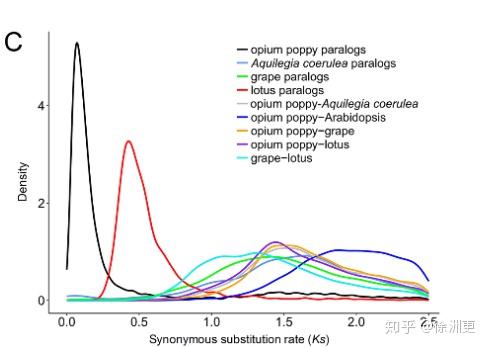 使用wgd进行全基因组复制分析 - 知乎