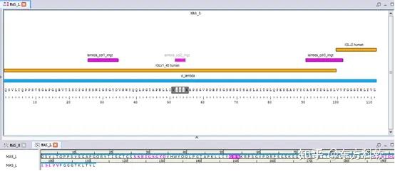 Discovery Studio | 抗体建模教程 - 知乎