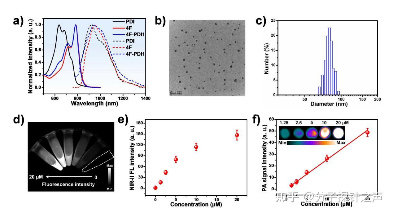 Angew：促进电子-空穴对分离策略在不依赖氧的增强光动力肿瘤治疗中的研究 - 知乎