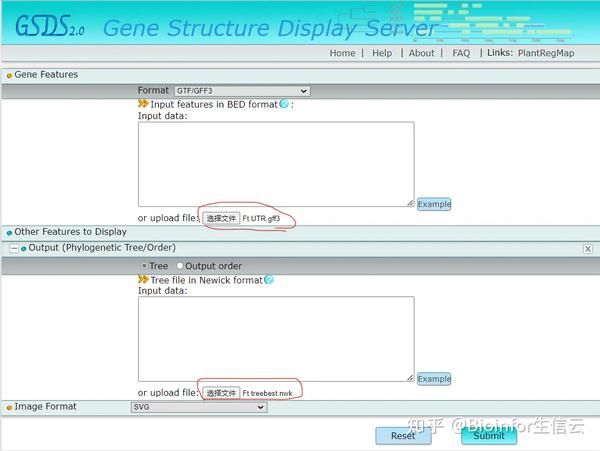 基因家族分析（5）绘制基因结构图 - 知乎