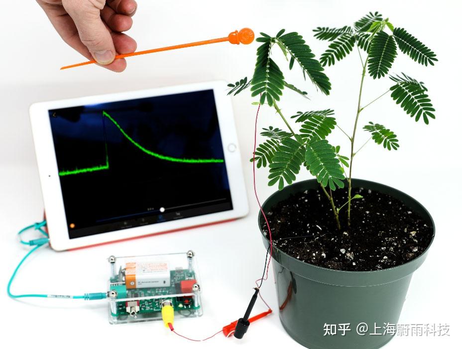 SpikerBox神经电生理设备 - 知乎