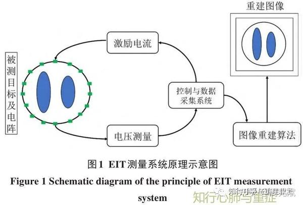 第139期胸部电阻抗断层成像（EIT）的原理、图像分析及临床应用 - 知乎