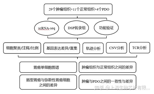 GeoMx® Digital Spatial Profiler（DSP）——探索肿瘤免疫微环境的利器 - 知乎