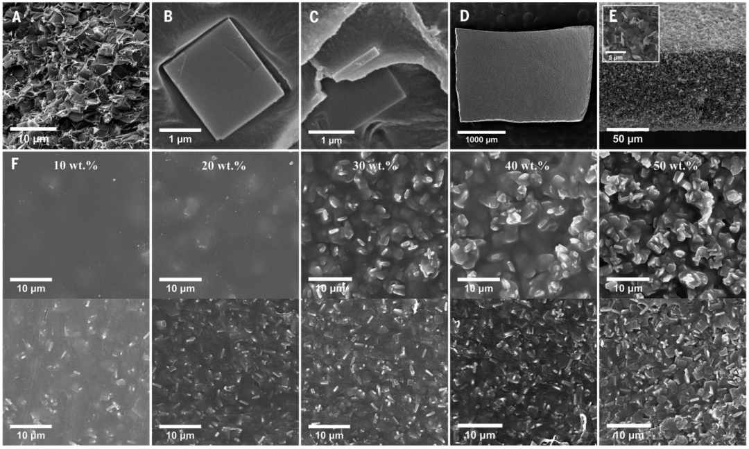 最新Science：投稿到接收不到4个月！ - 知乎