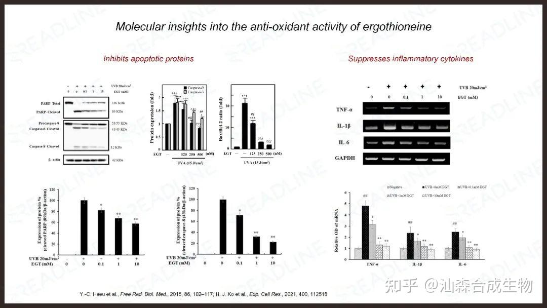 麦角硫因（EGT）独特的“时光物质” - 知乎