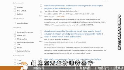 IOSE-80细胞培养，人正常卵巢上皮细胞培养攻略 - 丰晖生物 - 知乎