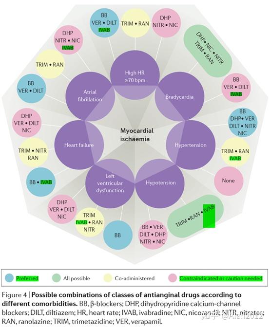 伊伐布雷定——一个抗心衰药物的治疗选择 - 知乎