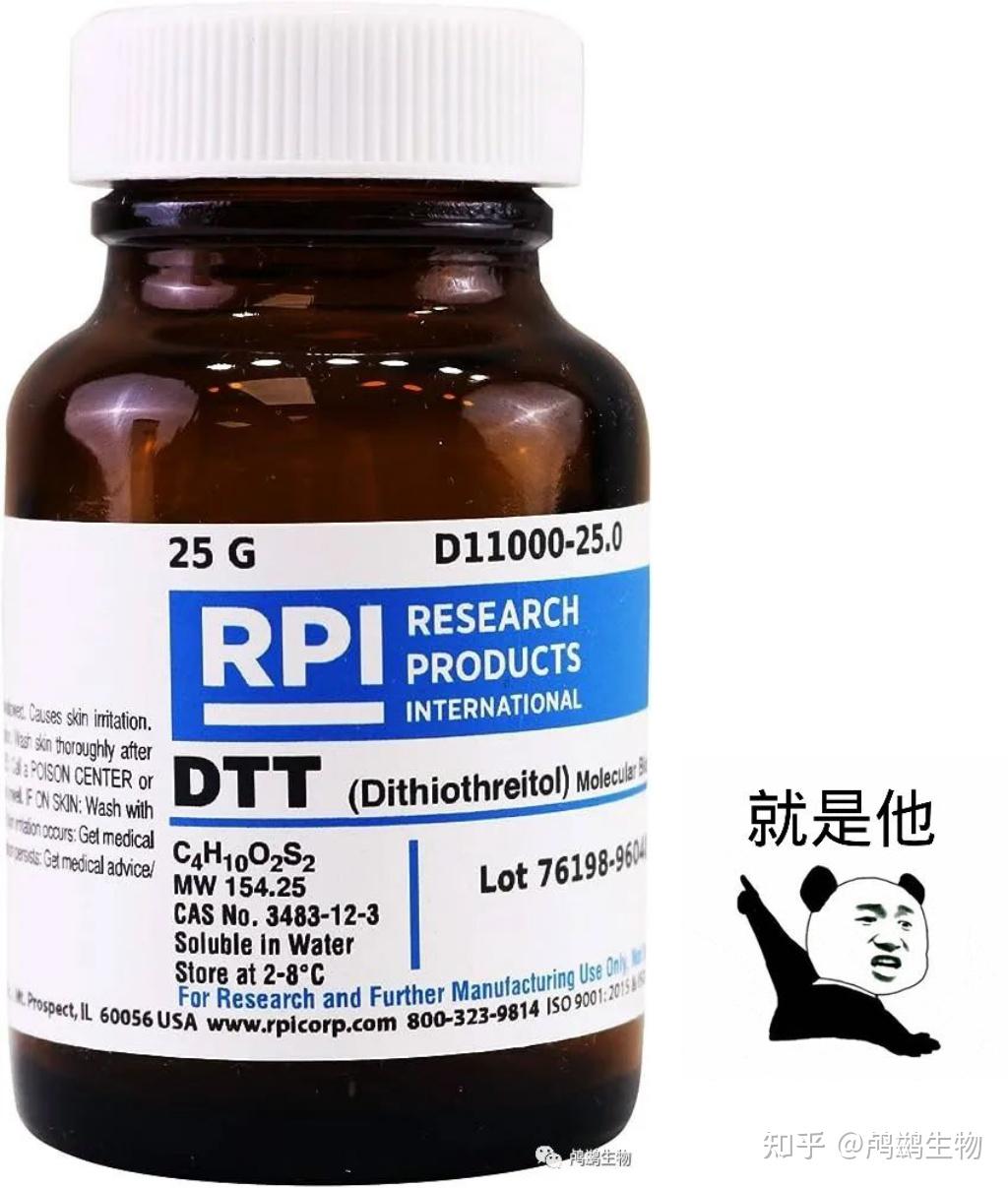 “非实验人员”的试剂科普 | 二硫苏糖醇（Dithiothreitol，DTT） - 知乎