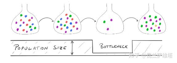 溯祖理论The coalescent（2） - 知乎