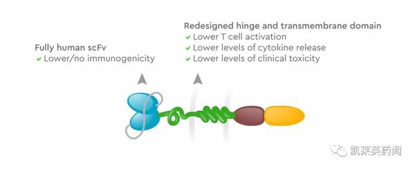 首个治疗狼疮肾炎的CAR-T获批临床！Kyverna的KYV-101迎里程碑进展 - 知乎
