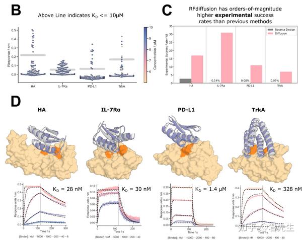 万字长文详细讲解蛋白质设计统一框架RFdiffusion - 知乎