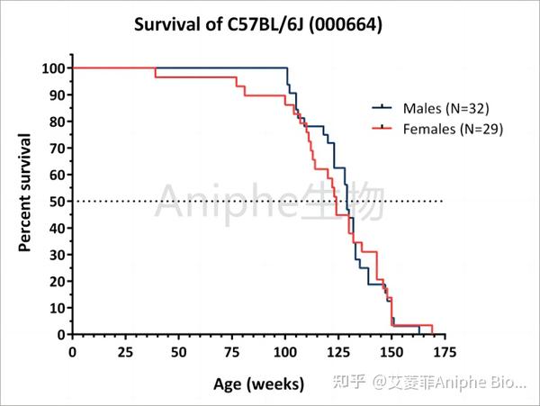 干货|最常见的实验鼠品系 —C57BL/6老龄鼠，这些你都知道吗↓ - 知乎
