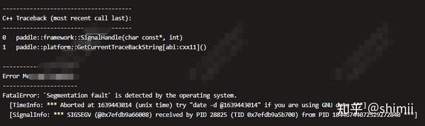 `segmentation Fault` Is Detected By The Operating System 知乎