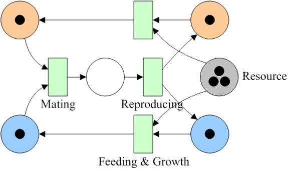 Petri-net：petri网络与fsm设计 - 知乎