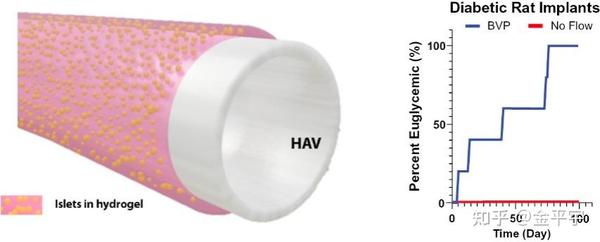 Humacyte：新一代人造血管领军者【3】产品管线：建议适应症/临床前管线 - 知乎