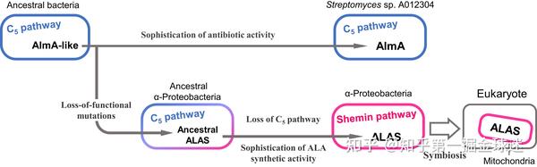 evol+biophys/biochem近期文献选读（2） - 知乎