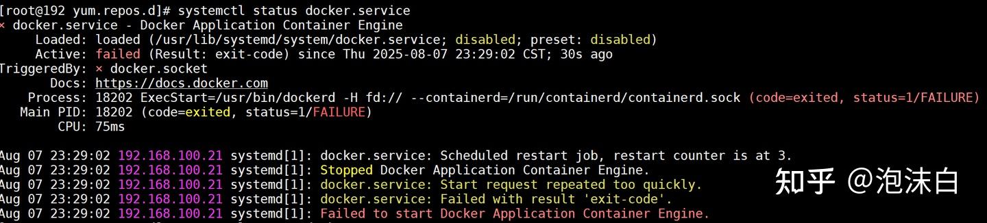 unable to configure the Docker daemon with file /etc/docker/daemon.json: invalid character 'Â ...