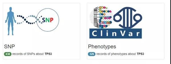 miRNA SNP数据库——miRNA SNP V3 - 知乎