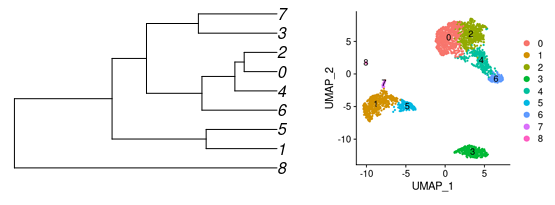 Seurat 4 R包源码解析 25: step12 找差异(标记)基因 FindMarkers() - 知乎