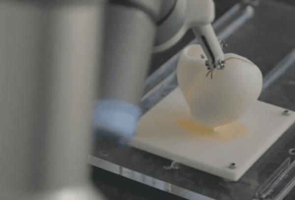 3D 打印“心脏”体外存活超 6 个月：心肌组织带有规律性搏动，来自中科院和清华 - 知乎