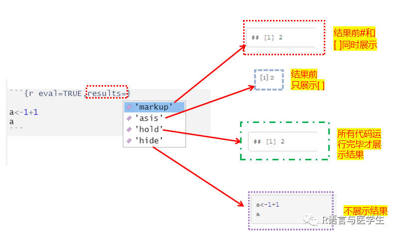 Rmarkdown学习-code chunk程序代码块 - 知乎