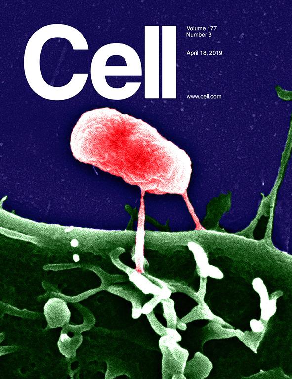 科学与艺术的结合！《CELL》100+张期刊封面鉴赏｜2019年篇 - 知乎