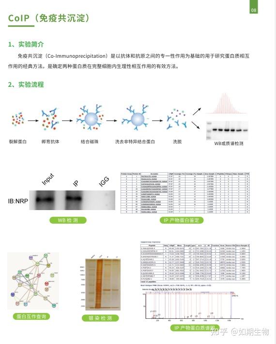 COIP 原理与实验流程 - 知乎