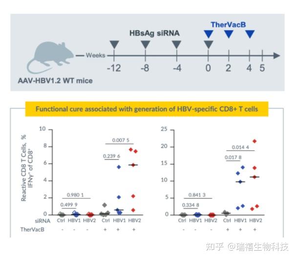 DSPE-PEG-DOC 磷脂-聚乙二醇-多西他赛 - 知乎