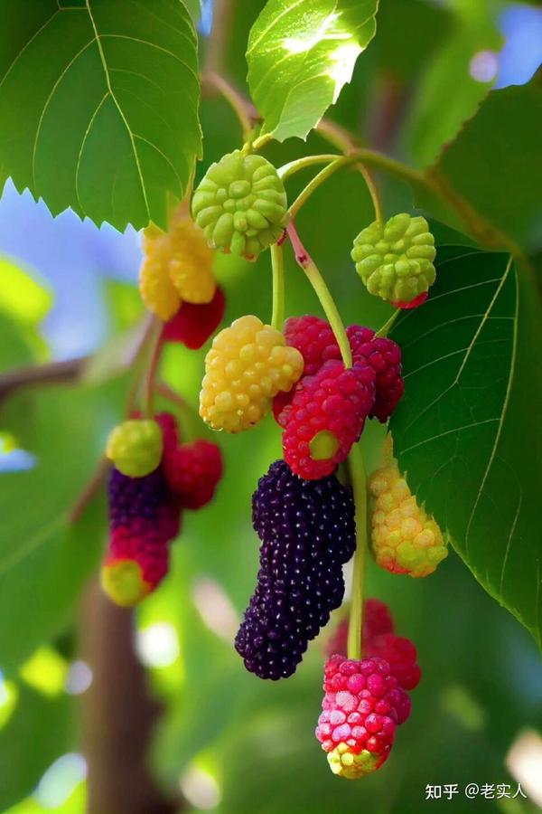 经营理念 - 知乎