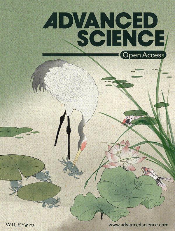 《Advanced Science》封面设计全过程分享 - 知乎