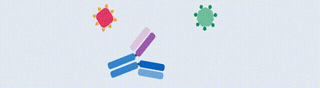 奕安济世祝贺时迈药业重组人源抗EGFR-CD3酶控双特异性抗体获批临床 - 知乎