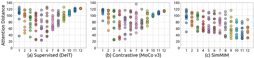 CVPR 2023 | 掩码图像建模MIM的理解、局限与扩展 - 知乎
