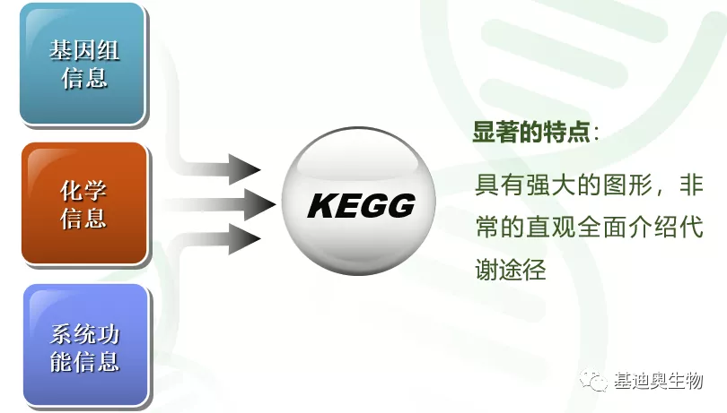 如何看懂KEGG通路图？ - 知乎