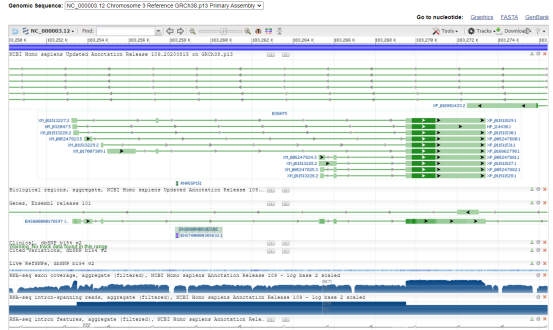miRwalk：搞定miRNA靶点预测及验证的宝藏网站 - 知乎