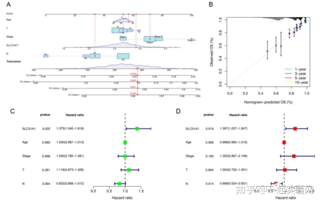 铜死亡热点：单基因肿瘤纯生信分析发表BMC bioinformatics！ - 知乎